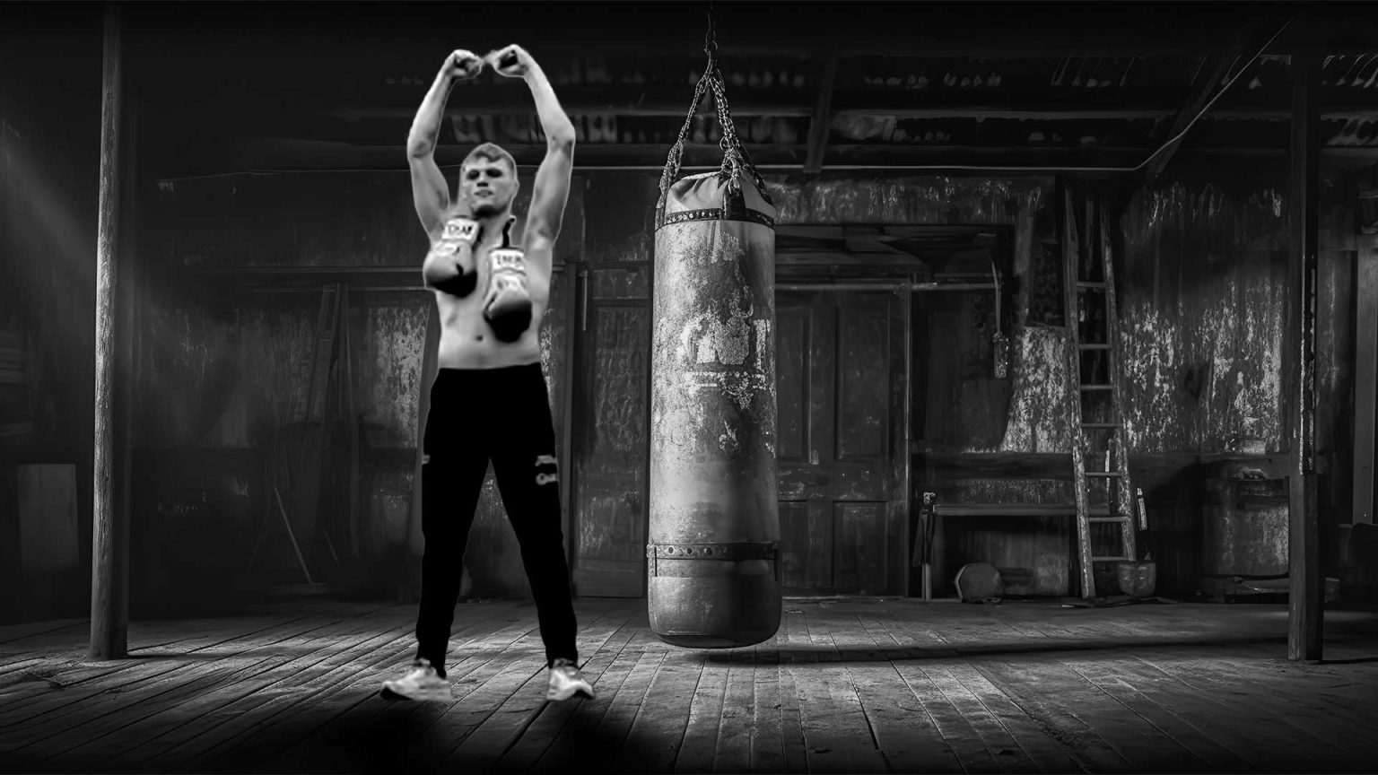 FightZone the Ultimate Free Streaming Boxing Platform